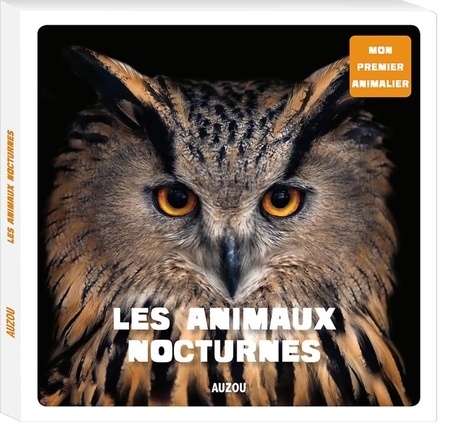 Les animaux nocturnes de Irena Aubert - Album - Livre - Decitre