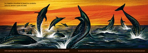 L'océan, une nuit... - Isabelle Simler - Livres - Furet du Nord