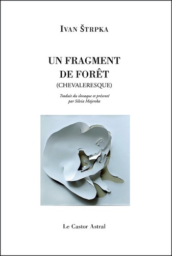 Un fragment de forêt (chevaleresque) de Ivan Strpka - Grand Format ...