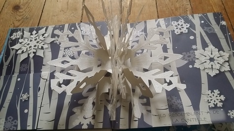 Flocons de neige - Un livre pop-up de Jennifer Preston Chushcoff ...