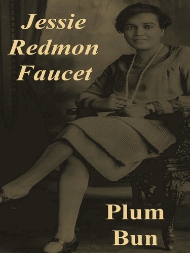 Plum Bun: A Novel Without a Moral de Jessie Redmon Fauset - ePub ...