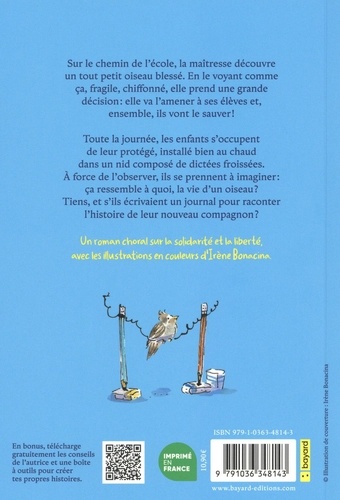 Un oiseau dans la classe de Jo Hoestlandt - Grand Format - Livre - Decitre