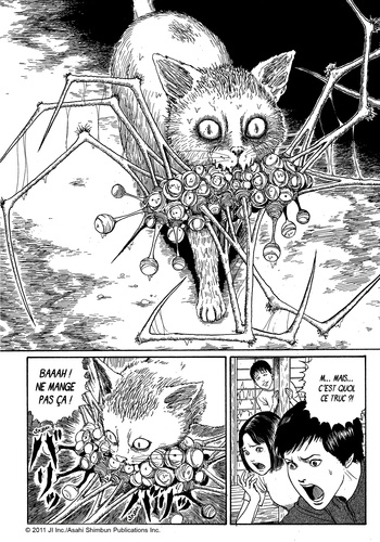 Soïchi de Junji Ito - Album - Livre - Decitre