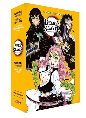 Demon Slayer Coffret en 2 volumes. Demon Slayer... de Koyoharu Gotouge ...