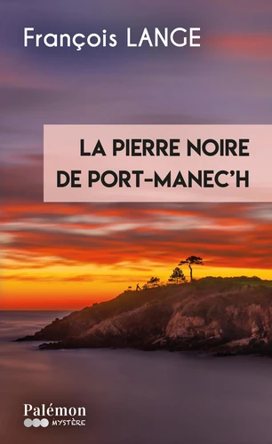La pierre noire de Port-Manec'h - François Lange | Decitre