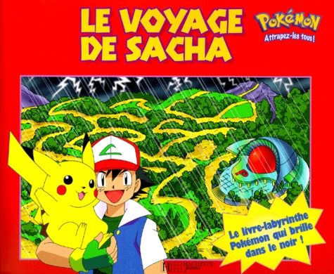 Le Voyage De Sacha - Leif Peng - Livres - Furet du Nord