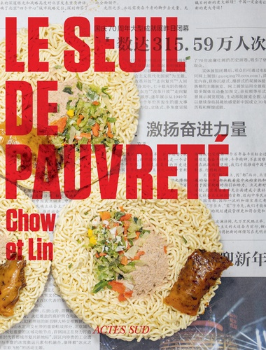 Seuil de pauvreté - Lin Huiyi - Livres - Furet du Nord