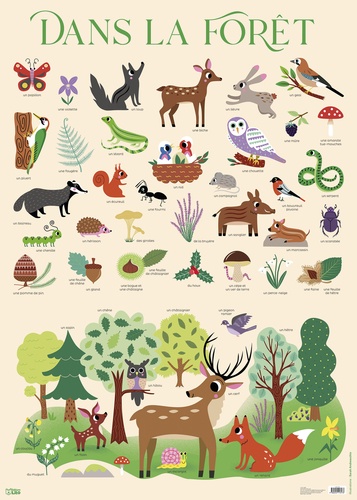 Dans la forêt de Sarah Andreacchio - Livre - Decitre