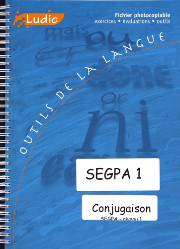 Conjugaison Segpa Niveau 1 Fiches Exercices De Ludic Livre