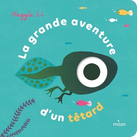 La grande aventure d'un têtard de Maggie Li - Album - Livre - Decitre