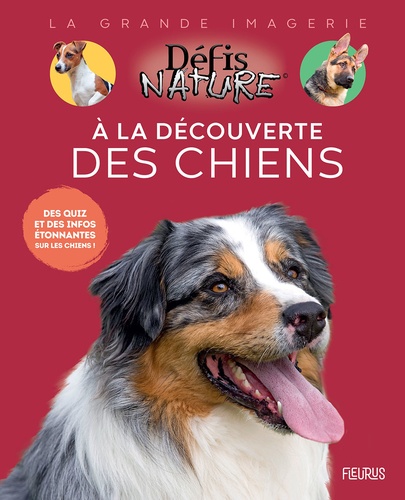 A la découverte des chiens de Marie-Alice Trochet-Desmaziers - Album ...