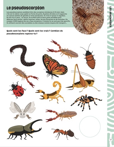 Jeux et coloriages des insectes et bestioles de Marie-Eve Côté - Album ...