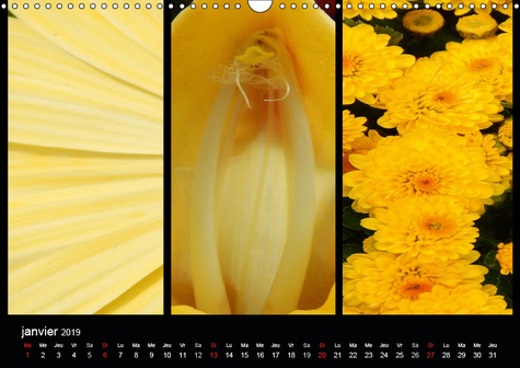 Trio de fleurs (Calendrier mural 2019 DIN A3... de Martina Busch ...