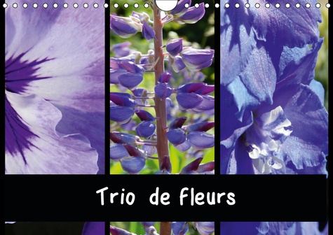 Trio de fleurs (Calendrier mural 2019 DIN A4... de Martina Busch ...