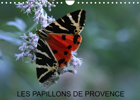 CALVENDO Nature . Les papillons de Provence... de Martine Julien ...