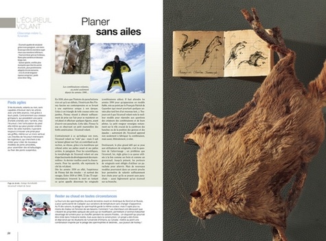 Quand la nature inspire la science - Biomimétisme de Mat Fournier ...