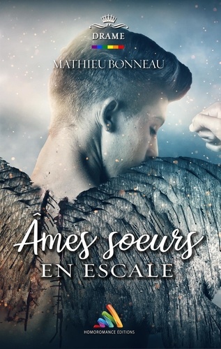 Âmes sœurs en escale | Livre gay, roman gay -... de Mathieu Bonneau ...