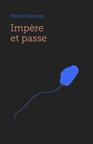 Impère et passe de Michel Remize - Livre - Decitre