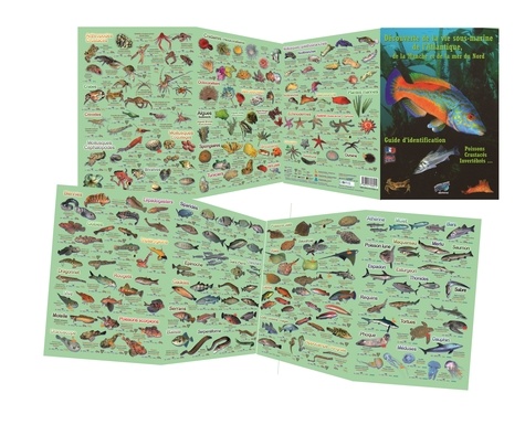 Découverte de la vie sous-marine Atlantique -... de Nicolas Barraqué ...