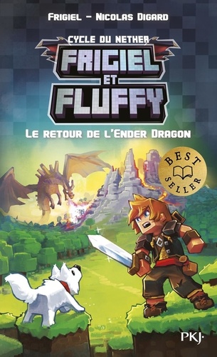 Frigiel et Fluffy : Cycle du Nether Tome 1. Le... - Nicolas Digard ...