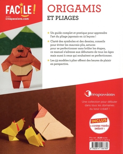 Origamis et pliages de Nicolas Terry - Grand Format - Livre - Decitre