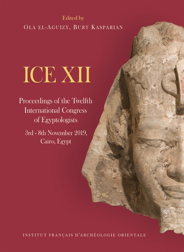 Ice XII - Proceedings of the Twelfth... de Ola El-aguizy - Grand Format ...