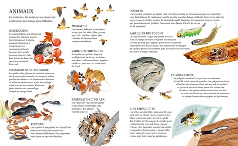 Récolte d'automne, une nature généreuse / Sean Taylor, Alex Morss ...