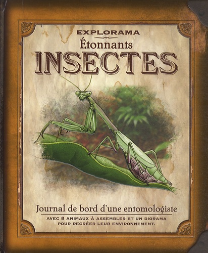 Etonnants insectes de Paul Beck - Livre - Decitre