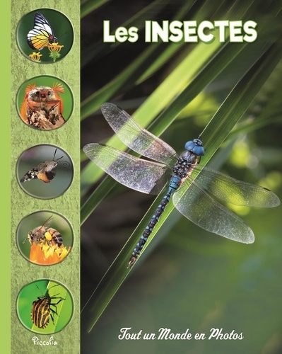 Les insectes de Piccolia - Album - Livre - Decitre