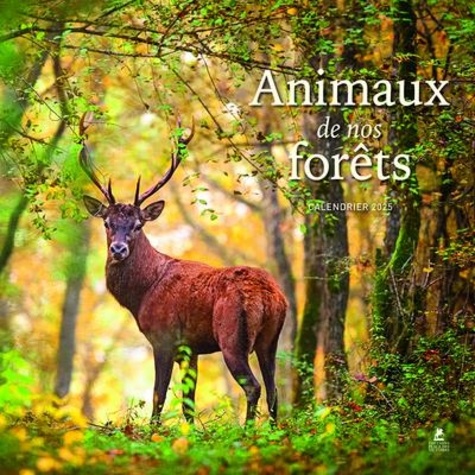 Calendrier animaux de nos forêts de Place des Victoires - Grand Format ...