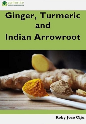 Ginger, Turmeric and Indian Arrowroot de Roby Jose Ciju - ePub - Ebooks - Decitre