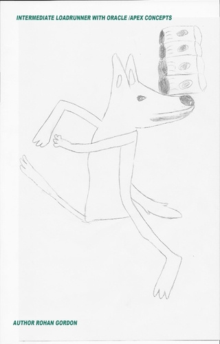 Intermediate Load Runner With Oracle/Apex... - Rohan Gordon - Ebooks ...