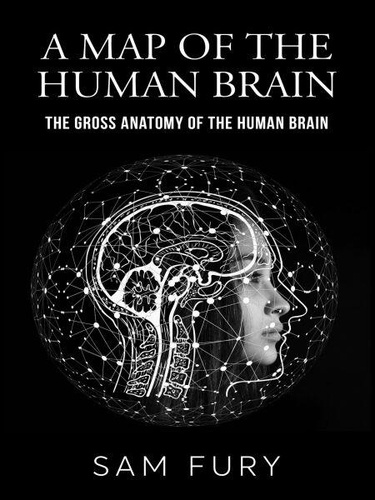 A Map of the Human Brain de Sam Fury - ePub - Ebooks - Decitre