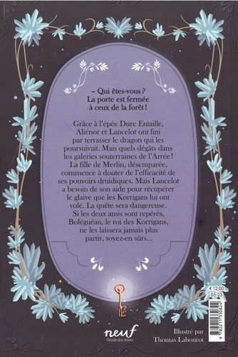 Aliénor, fille de Merlin Partie 4. Le royaume... de Séverine Gauthier ...