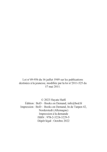 Noor et Naïm . Noor et Naïm et le coffre aux... de Hayate Haïfi - Grand ...