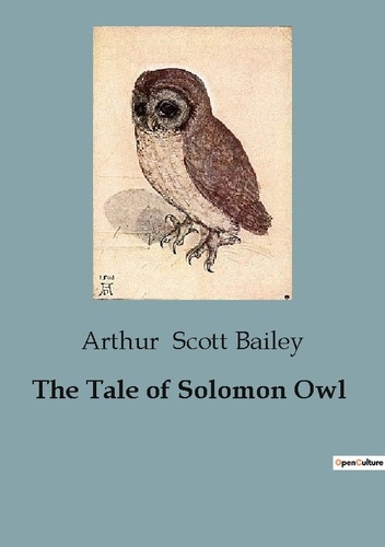 The Tale of Solomon Owl de Bailey arthur Scott - Livre - Decitre
