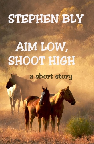 Aim Low, Shoot High - Stephen Bly - Ebooks - Furet du Nord