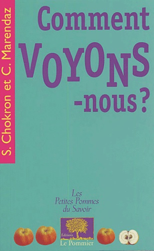 Comment voyons-nous ? de Sylvie Chokron - Poche - Livre - Decitre