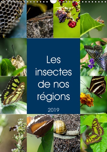 Les insectes de nos régions - Aimez-vous les... de Thomas Bronner ...