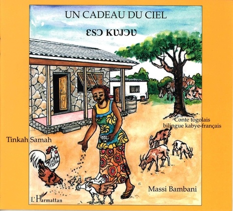 Un cadeau du ciel - À partir de 6 ans de Tinkah Samah - Livre - Decitre