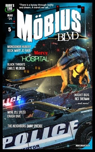 Mobius Blvd: Stories from the Byway Between... de Wayne Kyle Spitzer - ePub - Ebooks - Decitre