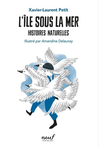 Histoires naturelles . L'île sous la mer - Xavier-Laurent Petit ...